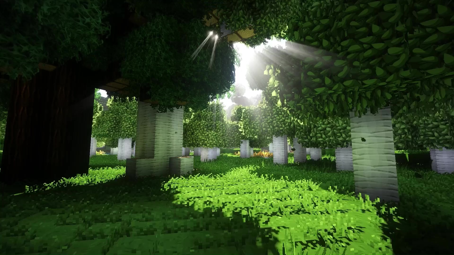 Minecraft Sun Rays In The Forest Live Wallpaper - WallpaperWaifu