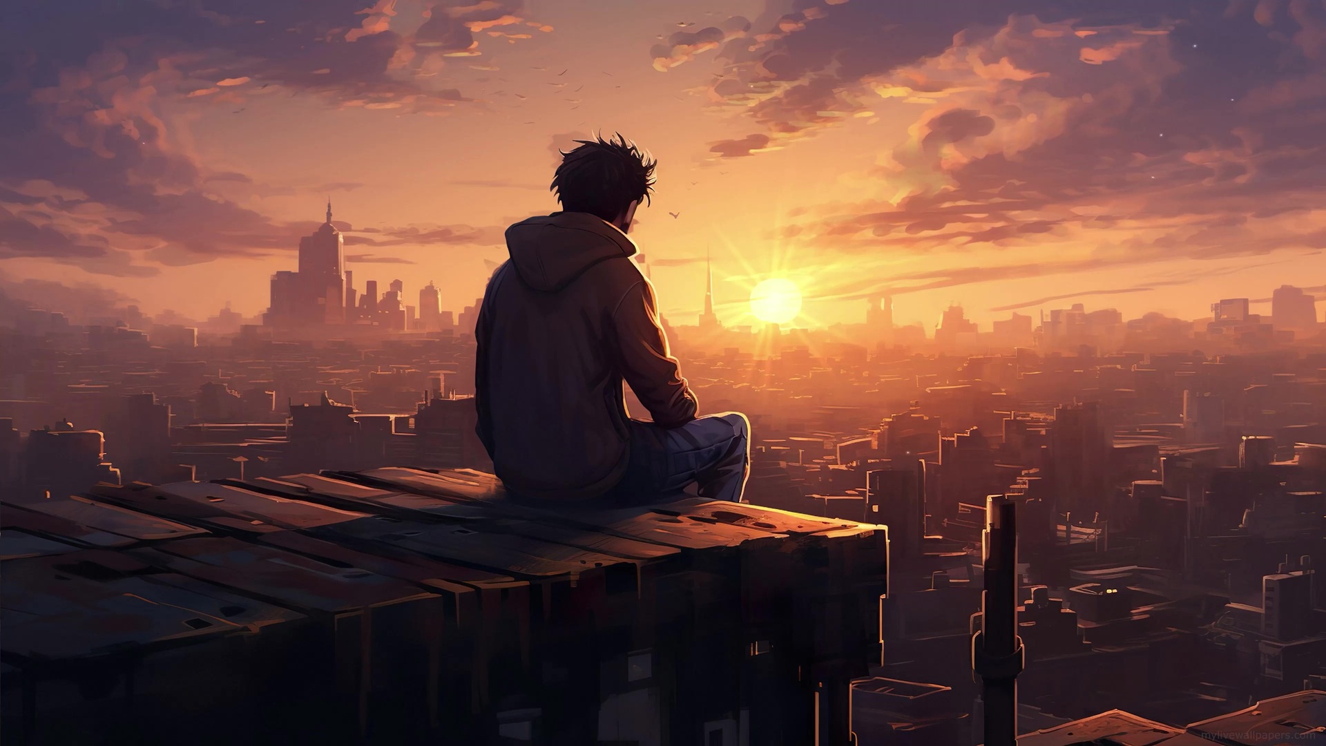 Lonely Boy Watching Sunset Live Wallpaper - WallpaperWaifu