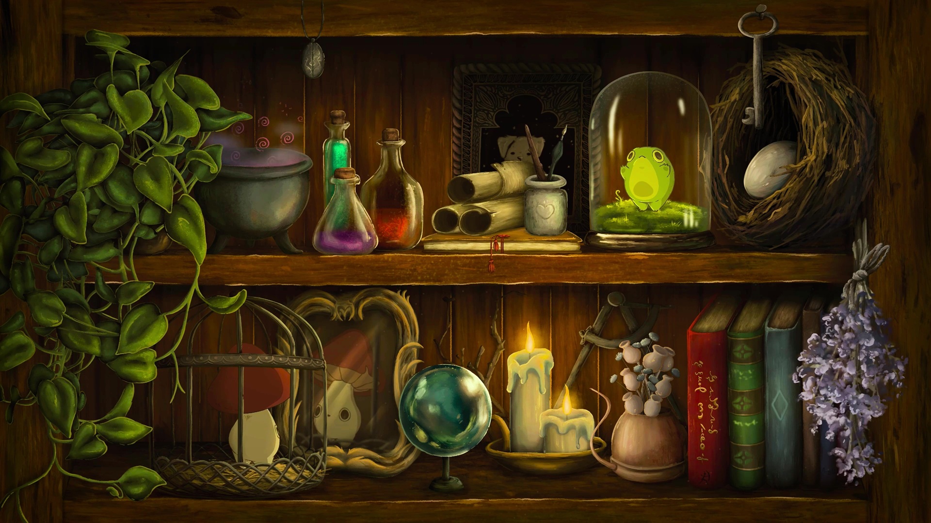 Oddities Shelf Live Wallpaper - WallpaperWaifu